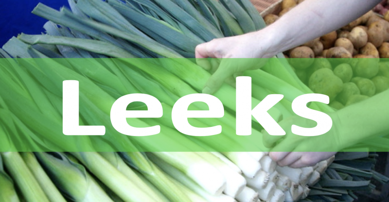 Healthy Bytes January – Coos County Friends of Public Health